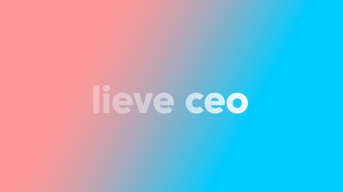 Dear CEO - Medialab EN - VPRO International